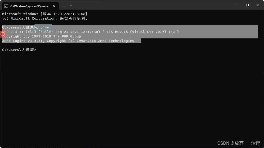 Windows 11系统 PHP解释器的安装教程_win11 php-CSDN博客