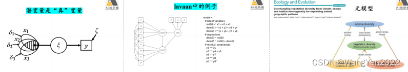 R语言结构方程模型sem：lavaan包讲解及应用、潜变量分析、复合变量分析、分类变量分析、分组数据分析、嵌套分层多水平数据分析、重复测量 