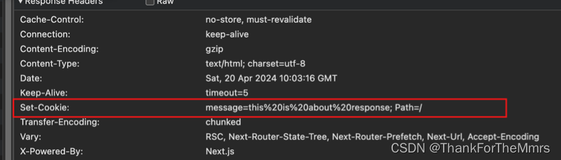 Next.js（五）中间件_nextjs middleware matcher-CSDN博客