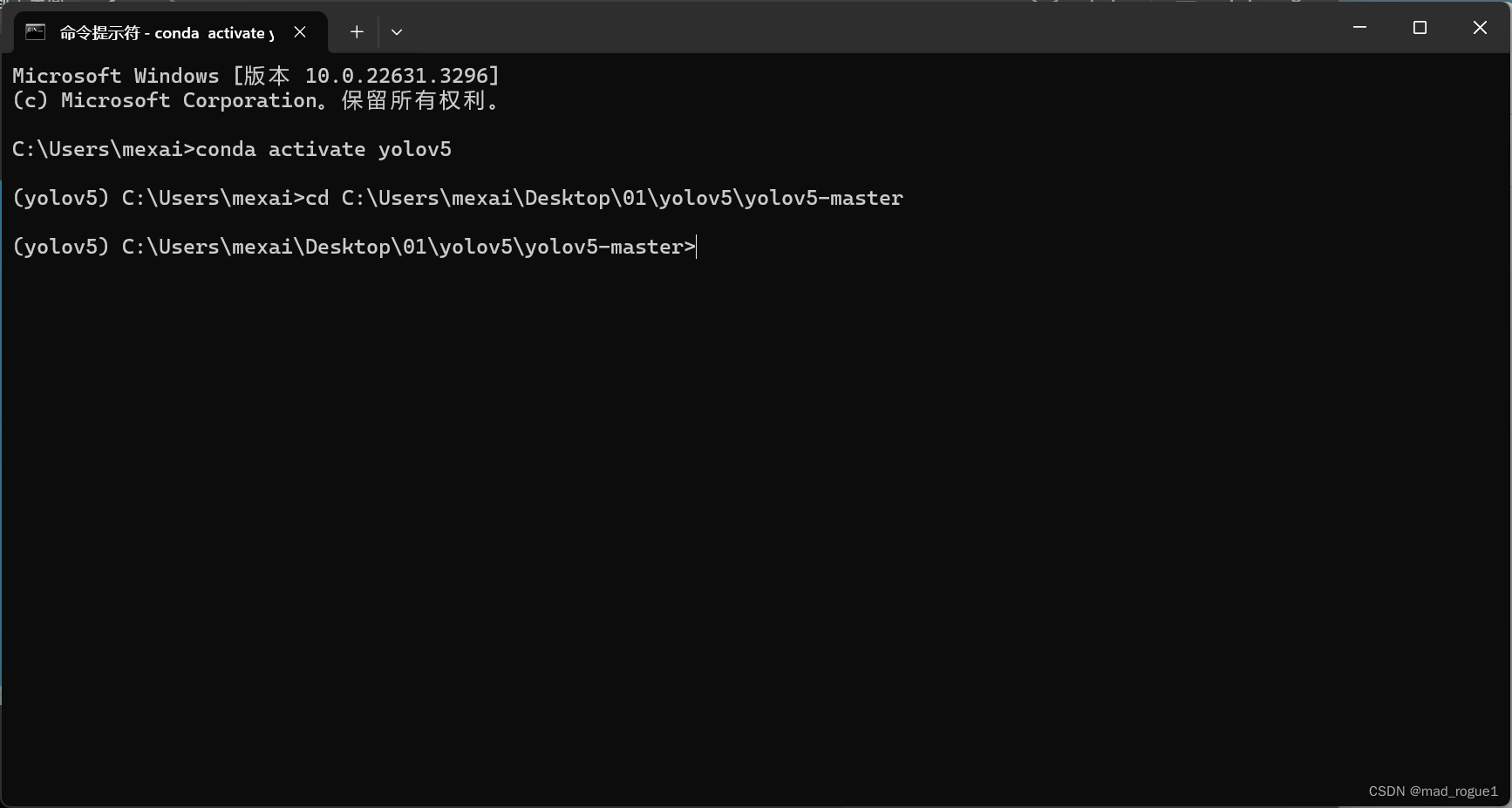 yolov5构建数据集时如何进行打标签_yolo多类别标签怎么打-CSDN博客