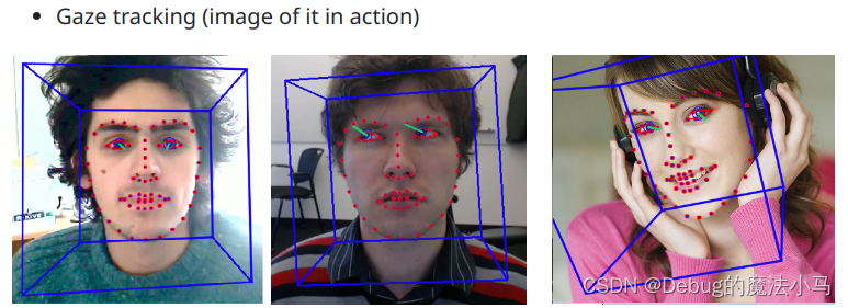 OpenFace+Ubuntu20.04+conda 排坑记录_could not find the haar face detector location-CSDN博客