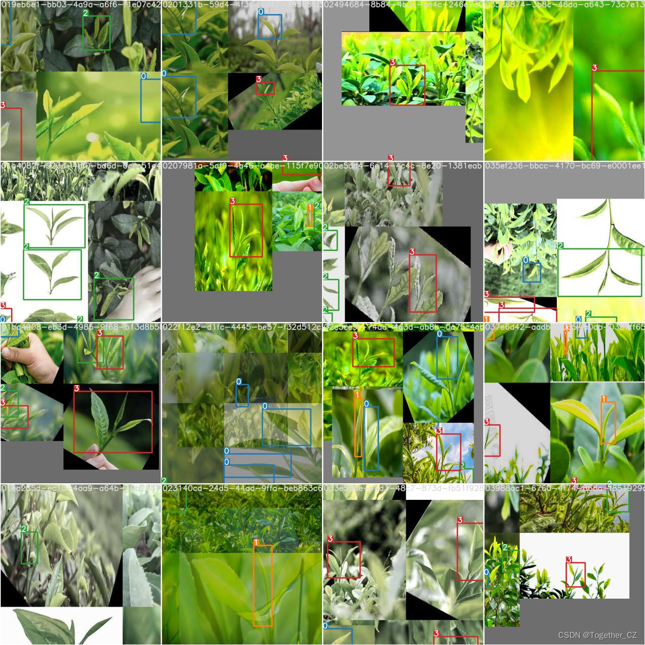 助力茶园种植鲜叶分级，基于YOLOv7【tiny/l/x】模型开发构建茶园种植作业场景下的茶鲜叶分级检测识别系统_对茶芽进行目标检测-CSDN博客