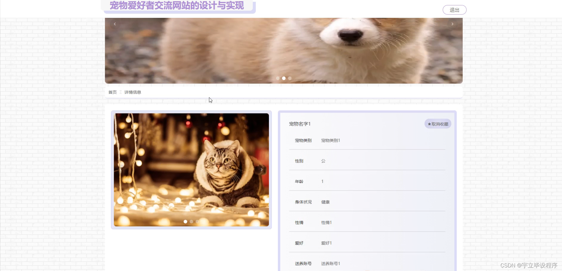 【附源码】django计算机毕业设计宠物爱好者交流网站的设计与实现源码mysql论文宠物网站设计源码 Csdn博客