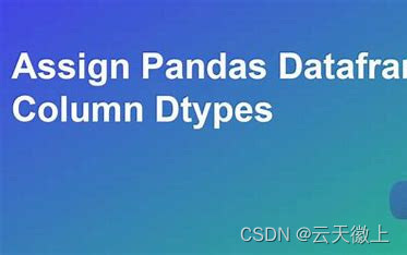 【Pandas】深入解析Pandas中的统计汇总函数`dtypes()`_pandas dtypes-CSDN博客