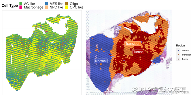 空间转录组分析实战3：空间转录组去卷积—CARD细胞注释_细胞类型去卷积注释-CSDN博客