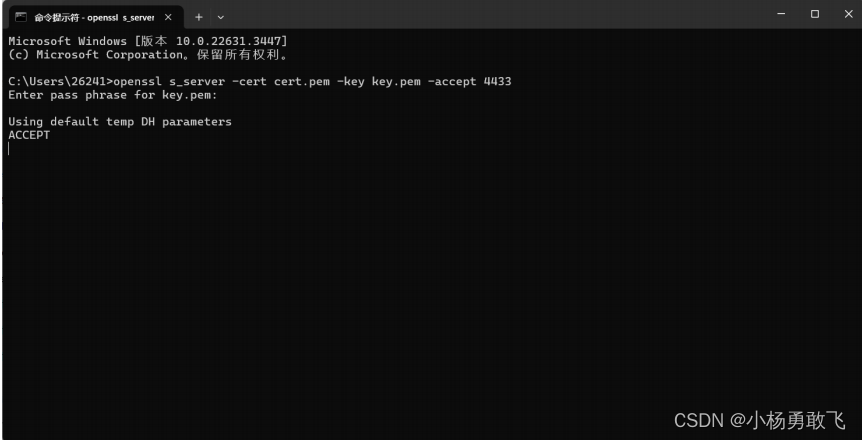 （记得关注哦）对传输层安全 TLS（Transport Layer Security）协议最新版进行分析。-CSDN博客