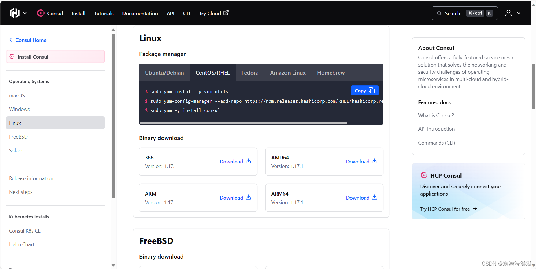 最通俗易懂的consul安装与启动_consul 启动-CSDN博客