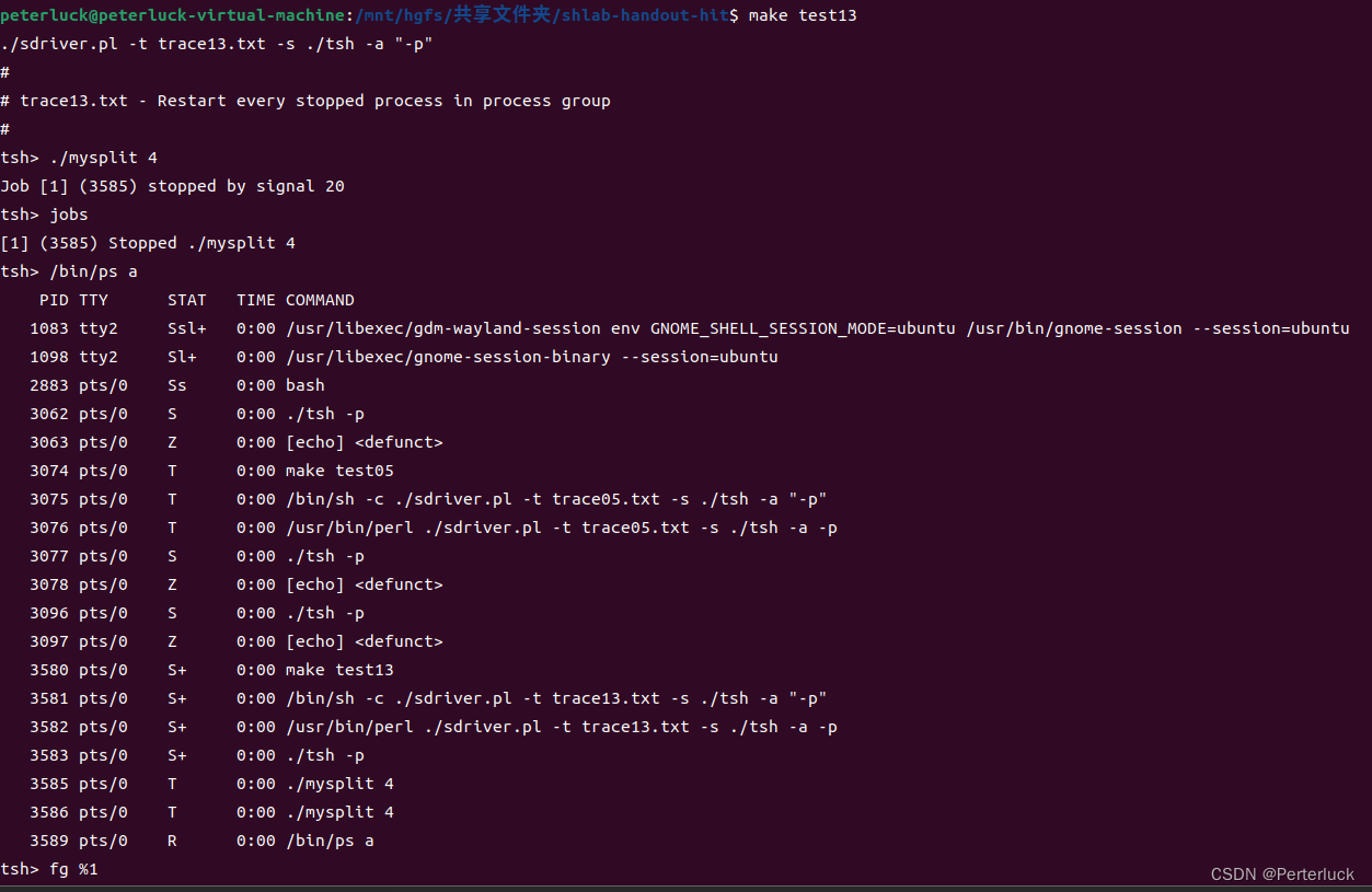 一文读懂CSAPP shell 微壳实验_csapp tinyshell-CSDN博客