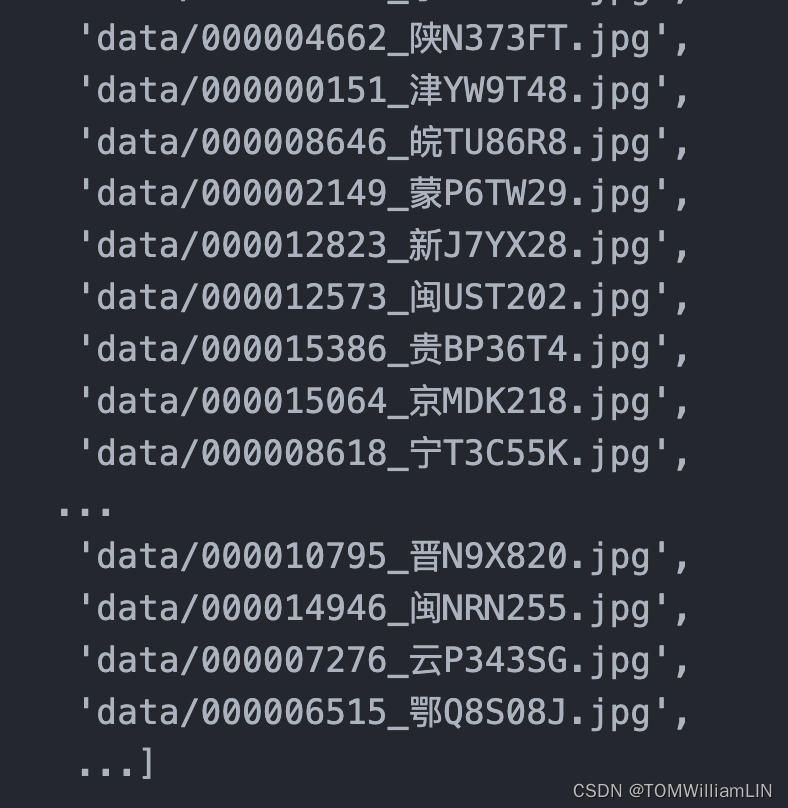 深度学习 10 — Pytorch 实现车牌识别_pytorch 车牌识别-CSDN博客