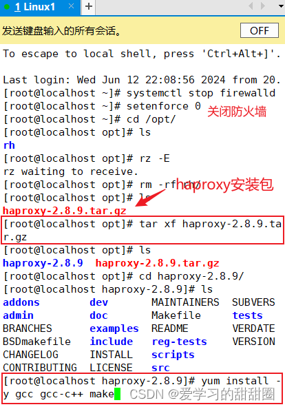 Haproxy搭建web群集-CSDN博客