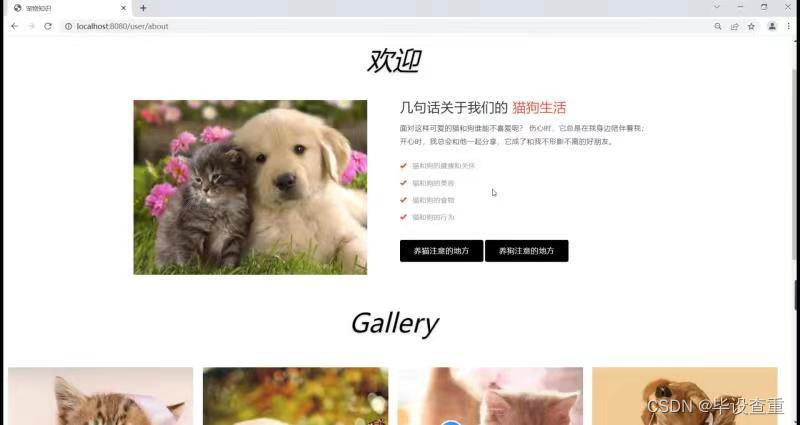 基于ssm的宠物领养系统的大学生毕业论文设计源代码答辩论文基于ssm的宠物医院系统答辩申请 Csdn博客
