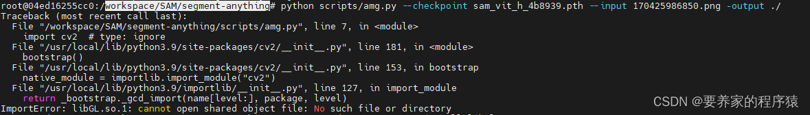 Segment Anything（SAM）环境安装&代码调试_amg.py-CSDN博客