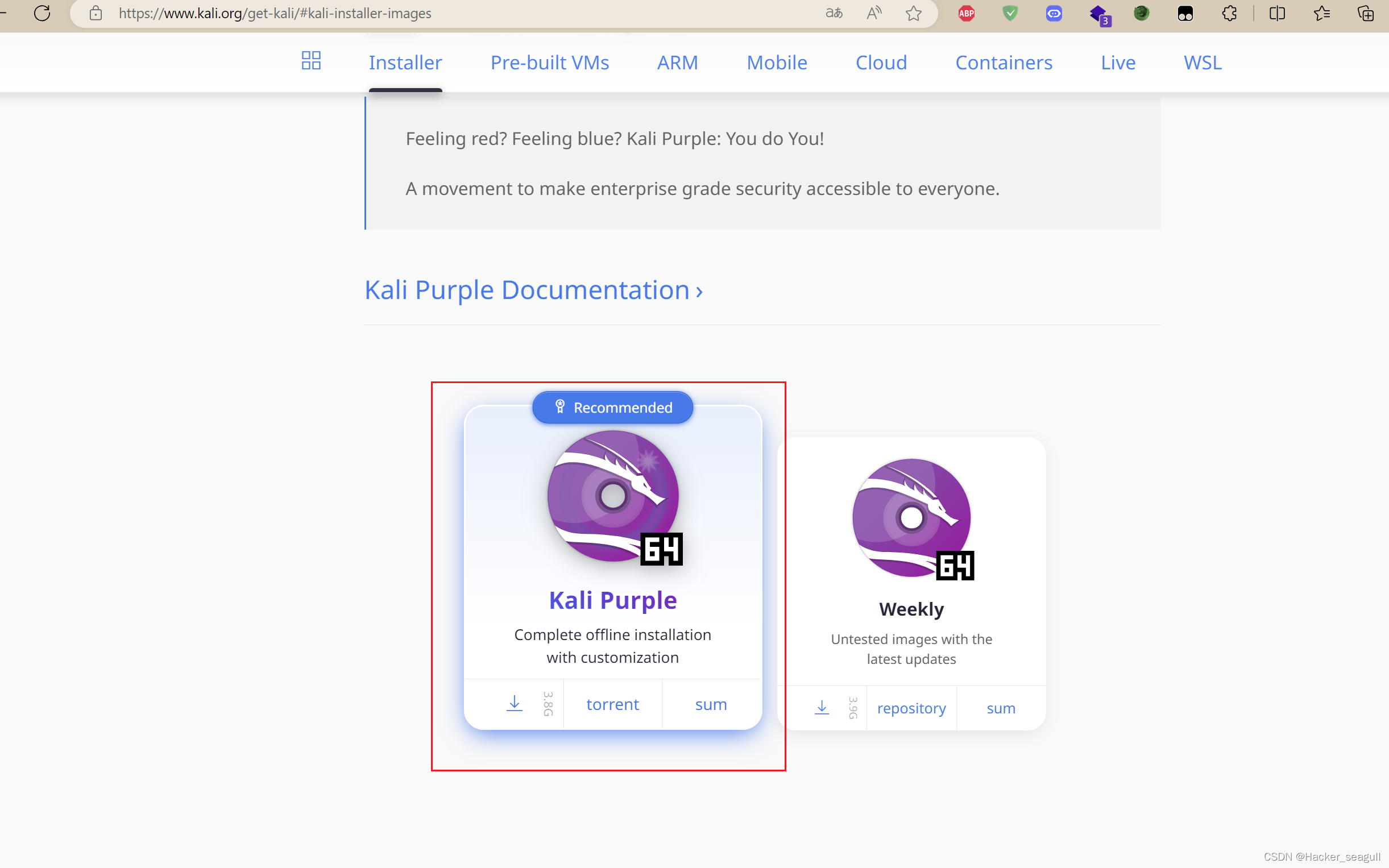2023年Kali Purple（kali紫）安装教程（超详细手把手教你）_kali purple安装教程-CSDN博客