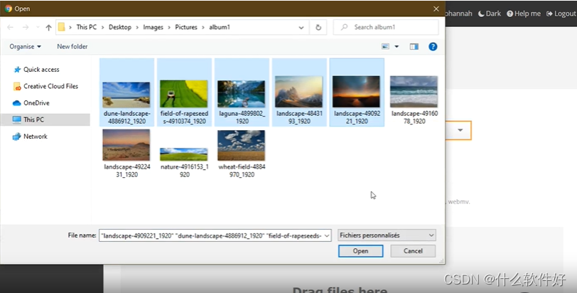 Piwigo，让图片管理变得更加简单高效_piwigo 插件 编辑图片-CSDN博客