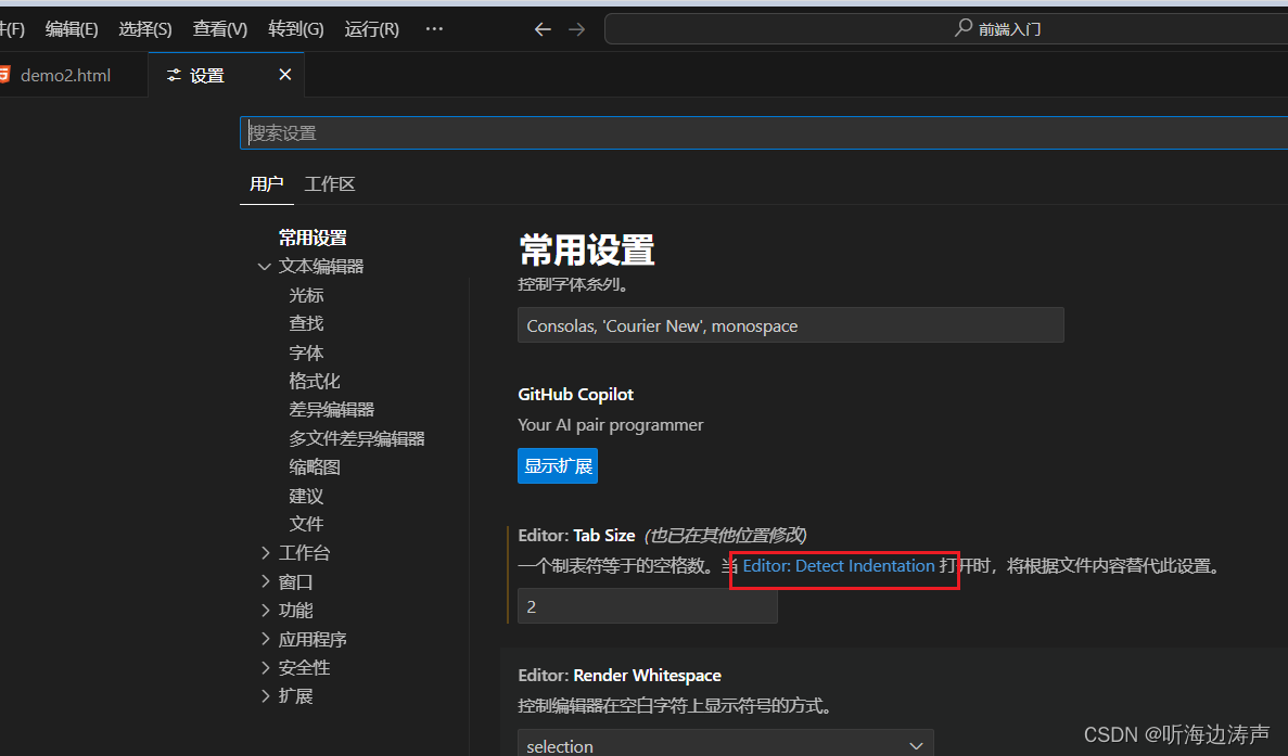 在vscode中设置Tab Size无效的解决方法_vscode tab size-CSDN博客