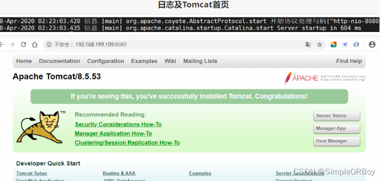 Linux安装Tomcat_linux下载tomcat8.5-CSDN博客