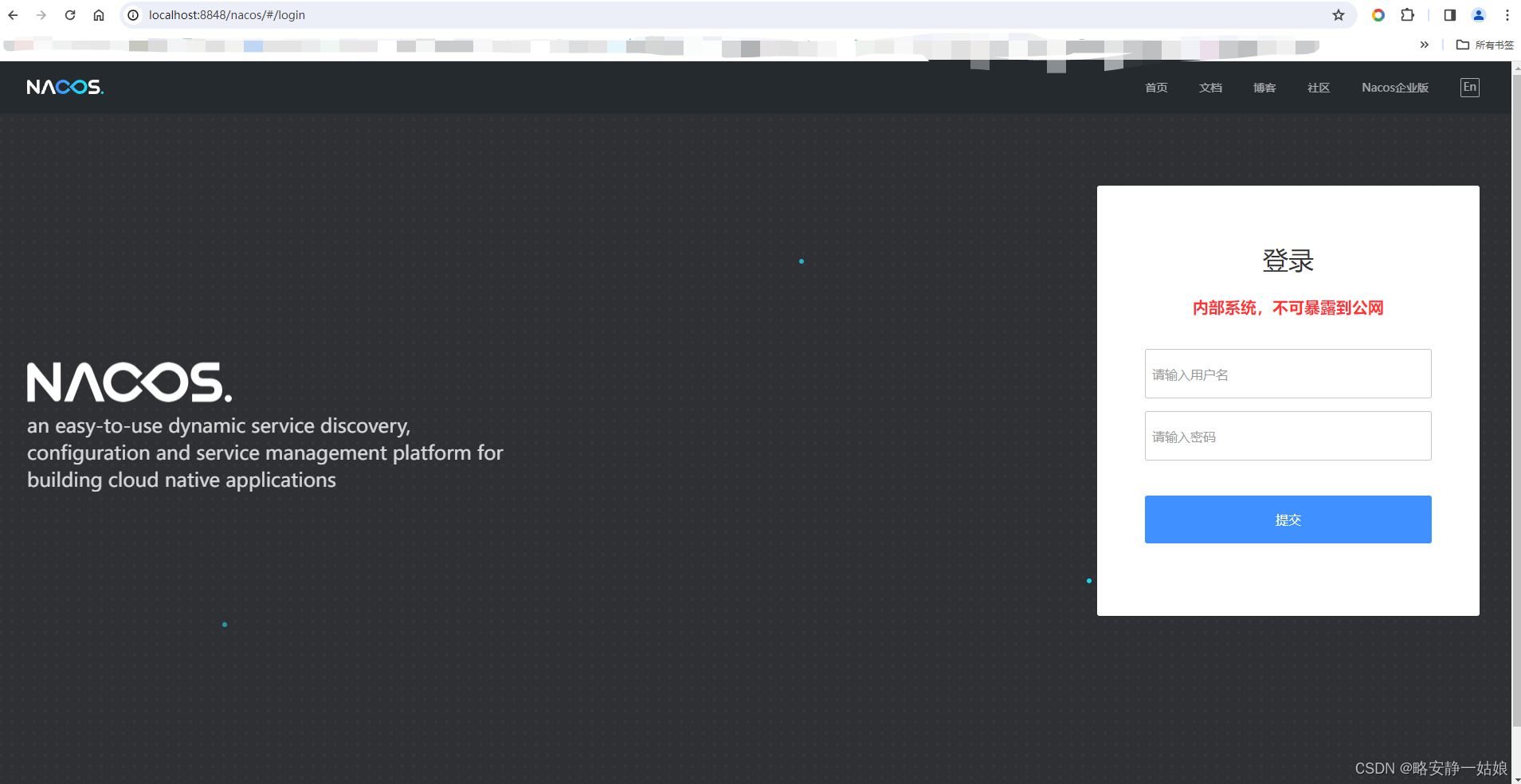 【docker desktop运行nacos 2.0.4 详细步骤】_docker desktop 运行nacos-CSDN博客