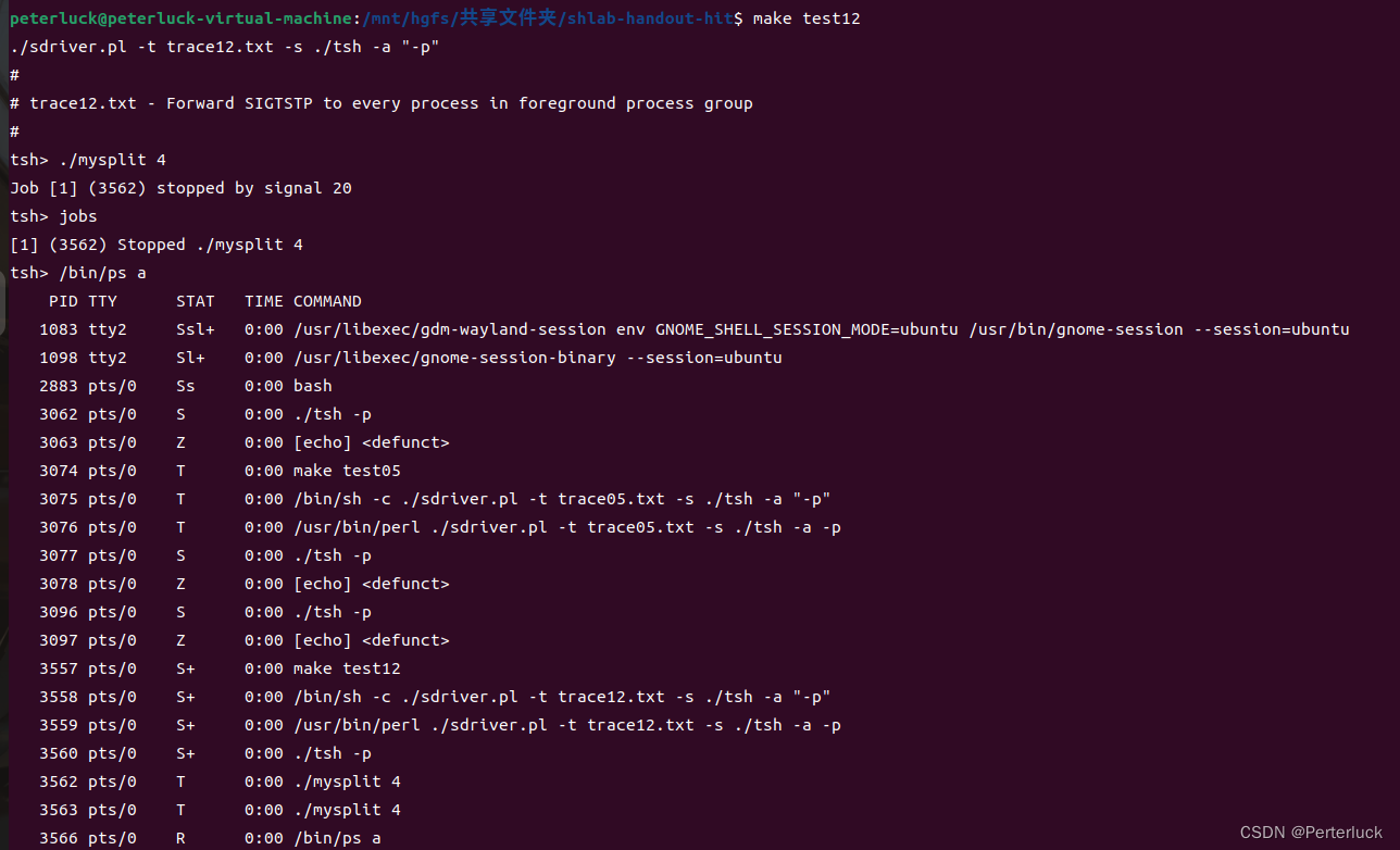 一文读懂CSAPP shell 微壳实验_csapp tinyshell-CSDN博客