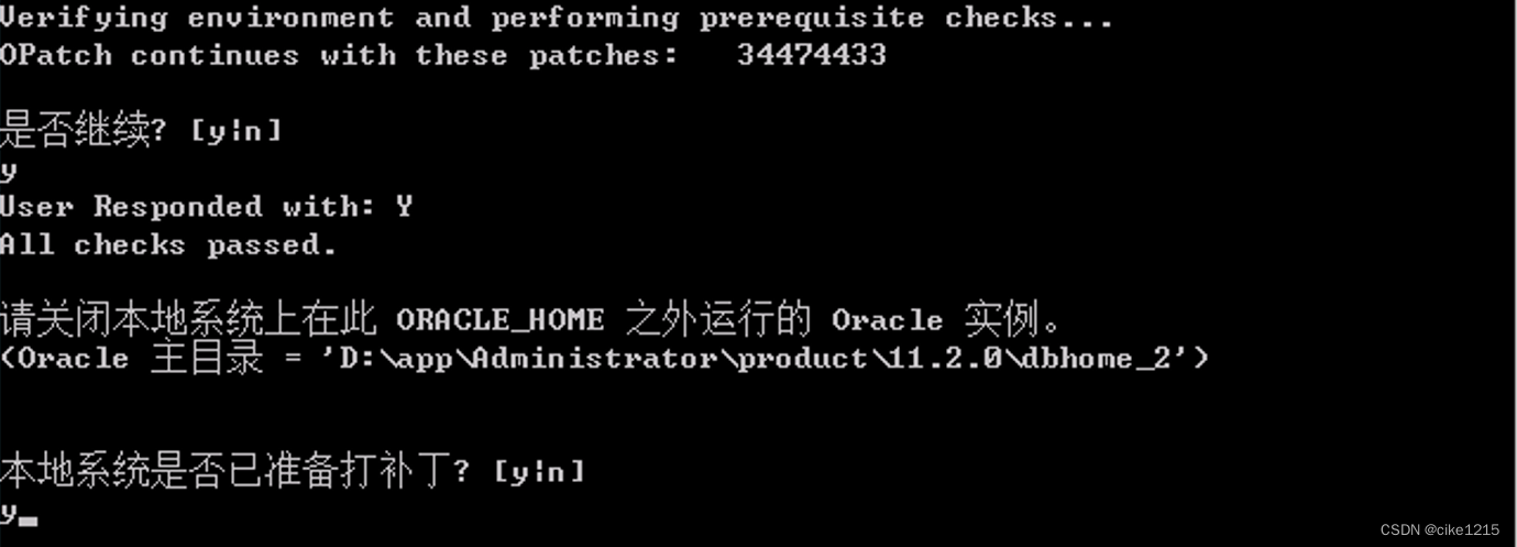 windows上oracle11g安装补丁（patches）_如何下载oracle11补丁包-CSDN博客