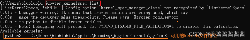 记录解决jupyter notebook中的kernel error错误_jupyter notebook kernel error-CSDN博客