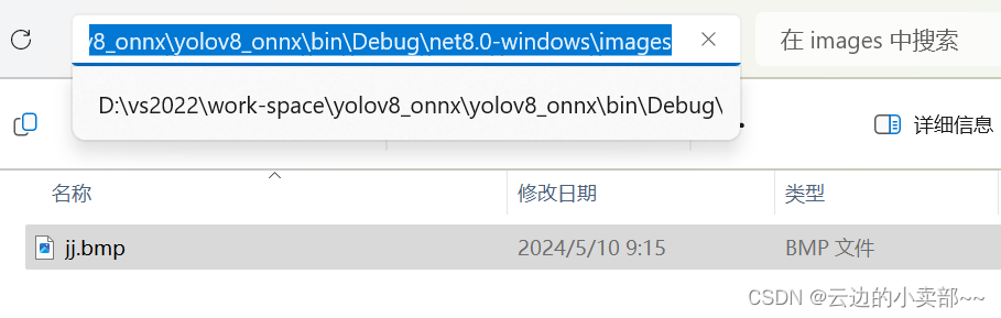 C#winform调用onnx预测，输出图片_[c#]yolov8-onnx在winform部署分割模型-CSDN博客