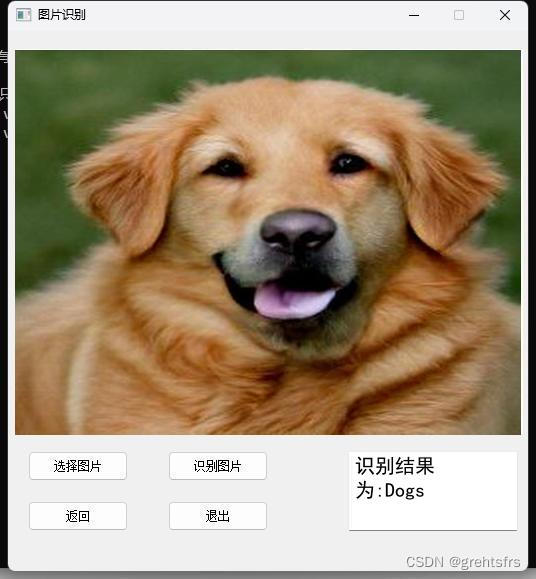 0019期python Pytorch训练猫狗识别 含数据集猫狗识别得到的训练数据集文本文件序号有误python Csdn博客