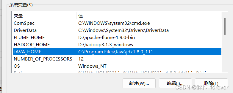Flume报错解决方法：找不到命令 flume-ng，但它确实存在于当前位置。默认情况下，Windows PowerShell 不会从当前 位置加载命令。（系统找不到指定路径）_bash ...
