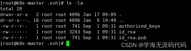 jenkins SSH 远程执行命令_jenkins sshcommand-CSDN博客