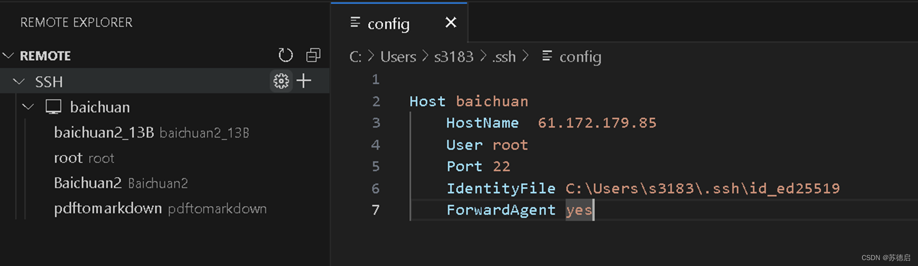 Windws connect linx server by VSC （Remote - SSH）-CSDN博客