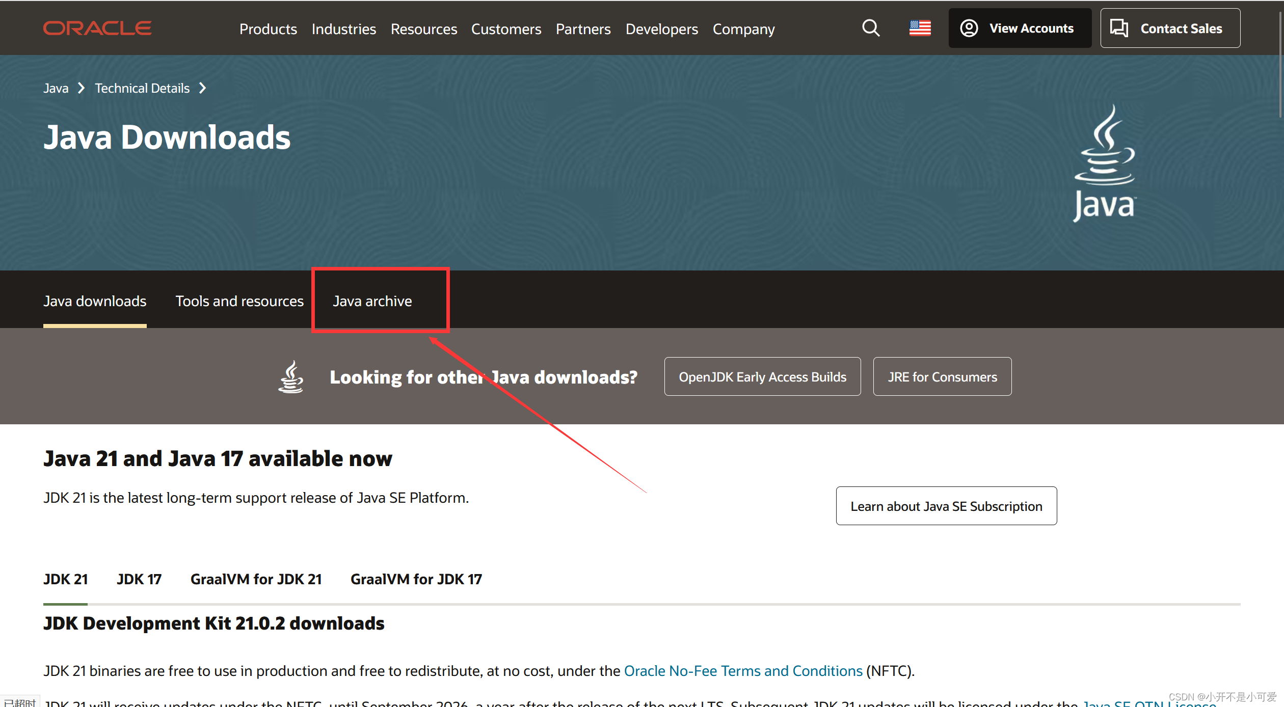 win11安装Java环境详细教程_win11 java环境配置-CSDN博客