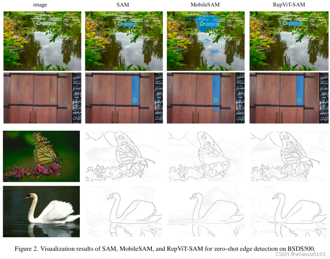 RepViT-SAM_repvitsam-CSDN博客