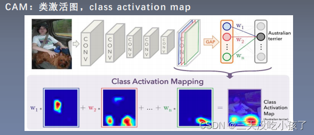PyTorch笔记22--Hook函数与CAM算法_pytorch cam-CSDN博客