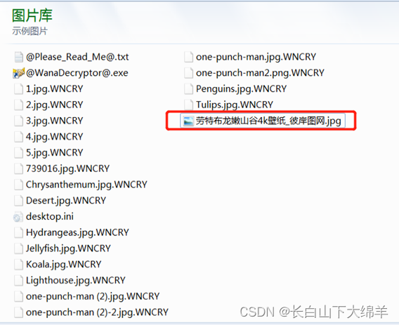 WannaCry病毒分析_wannacry 分析-CSDN博客