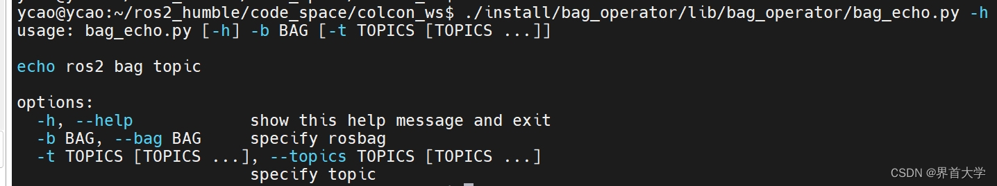 ROS2高效学习第九章 -- ros2 bag之 python 实现离线读取包数据 其二_python解析ros2包-CSDN博客