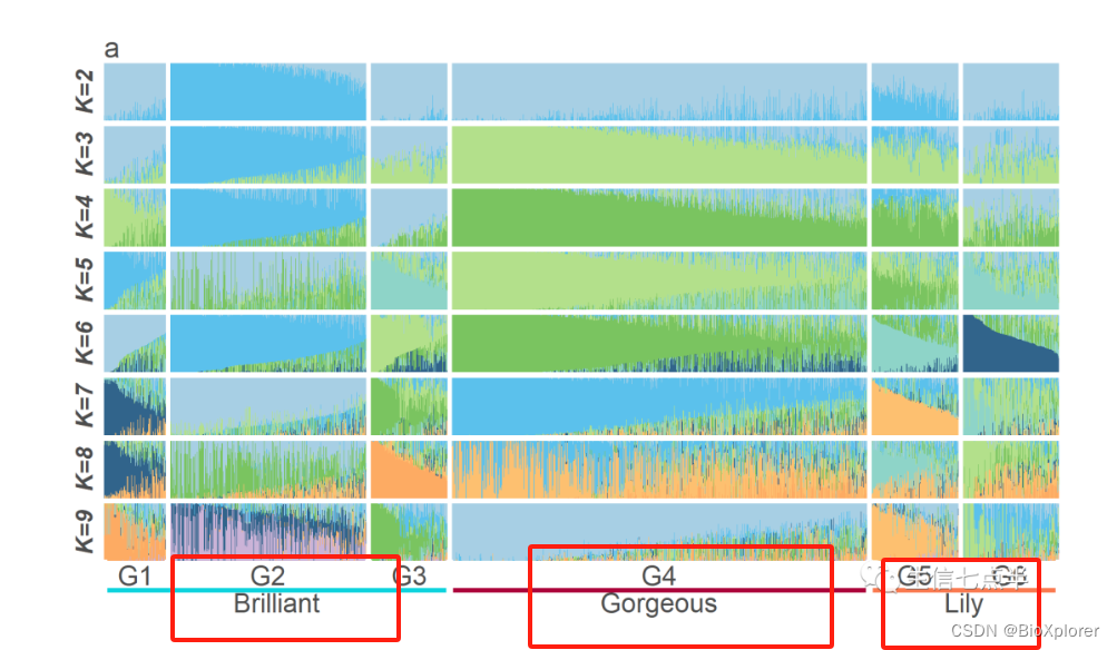 R-pophelper，admixture的可视化_pophelper绘制structure-CSDN博客