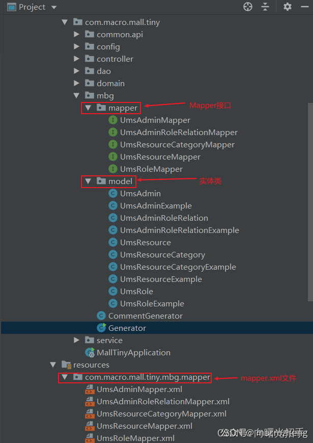 Mybatis Generator 代码生成器使用_mybatis 实体类生成器-CSDN博客