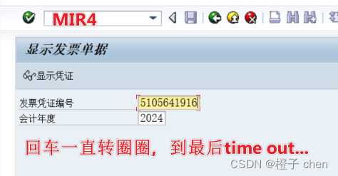 SAP-MM MIR4/MIR6/MIRO 显示发票进不去_sap mir6-CSDN博客