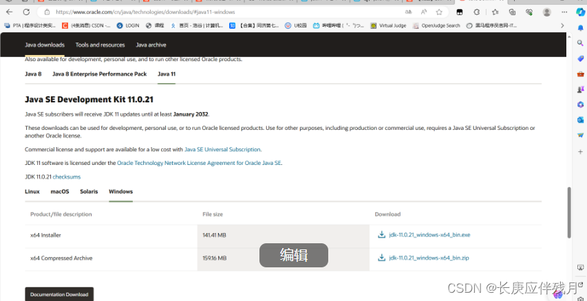 JDK11、IDEA安装与环境配置_idea配置jdk11-CSDN博客