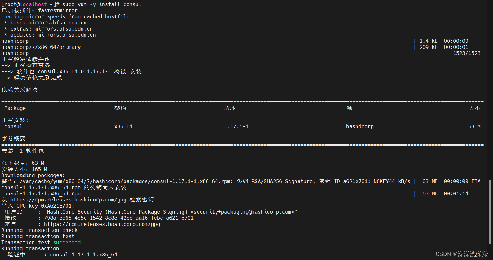 最通俗易懂的consul安装与启动_consul 启动-CSDN博客