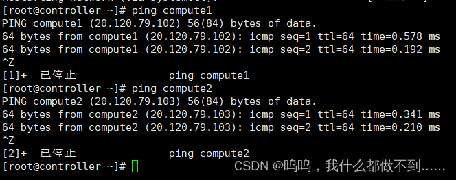 基于PackStack部署多节点的OpenStack（附文档）_packstack怎么配置多个compute-CSDN博客