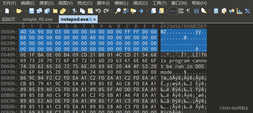 PE文件结构(详解)--一_dos mz文件-CSDN博客