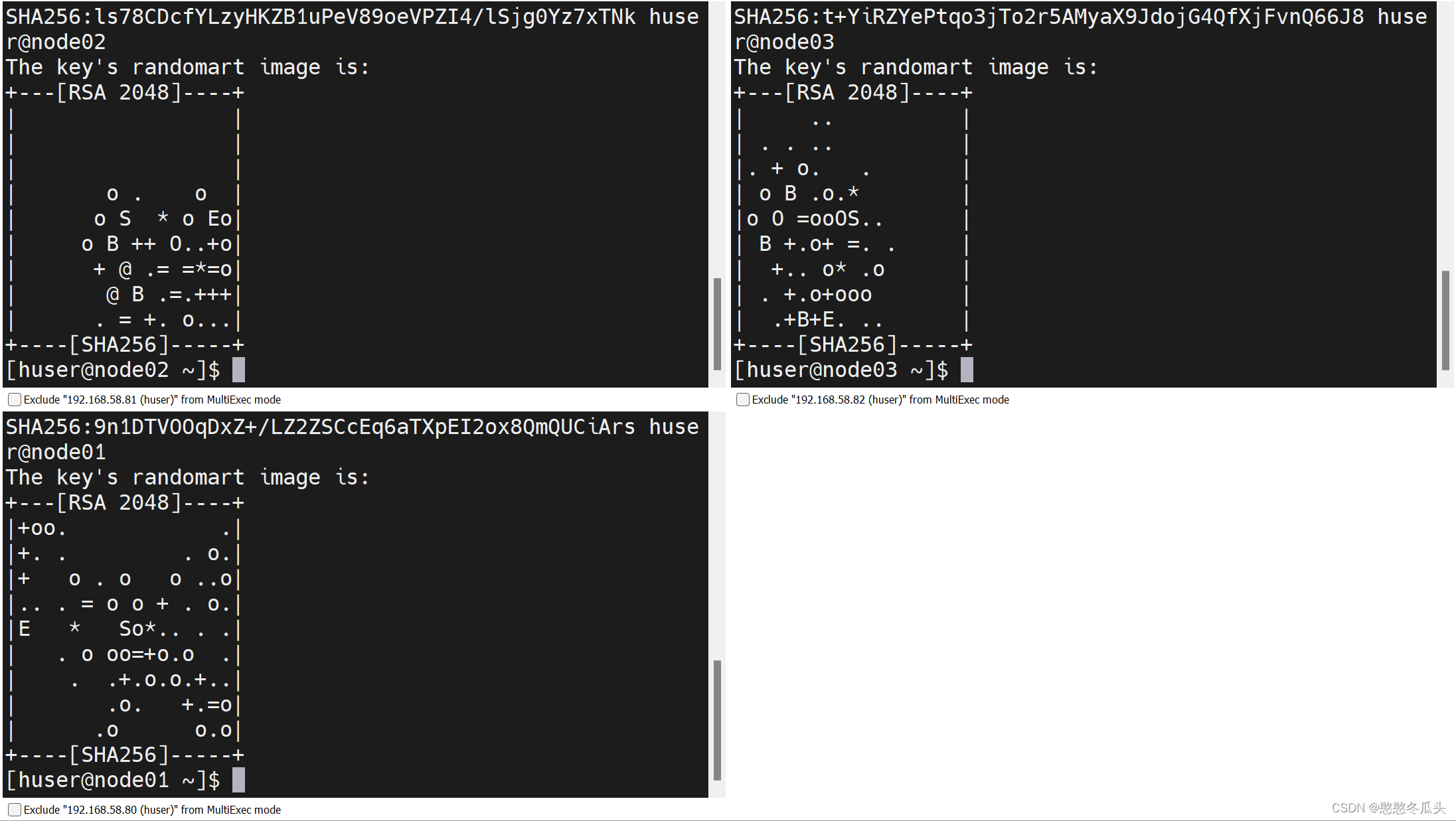 冬瓜头学编程------Hadoop集群搭建-CSDN博客