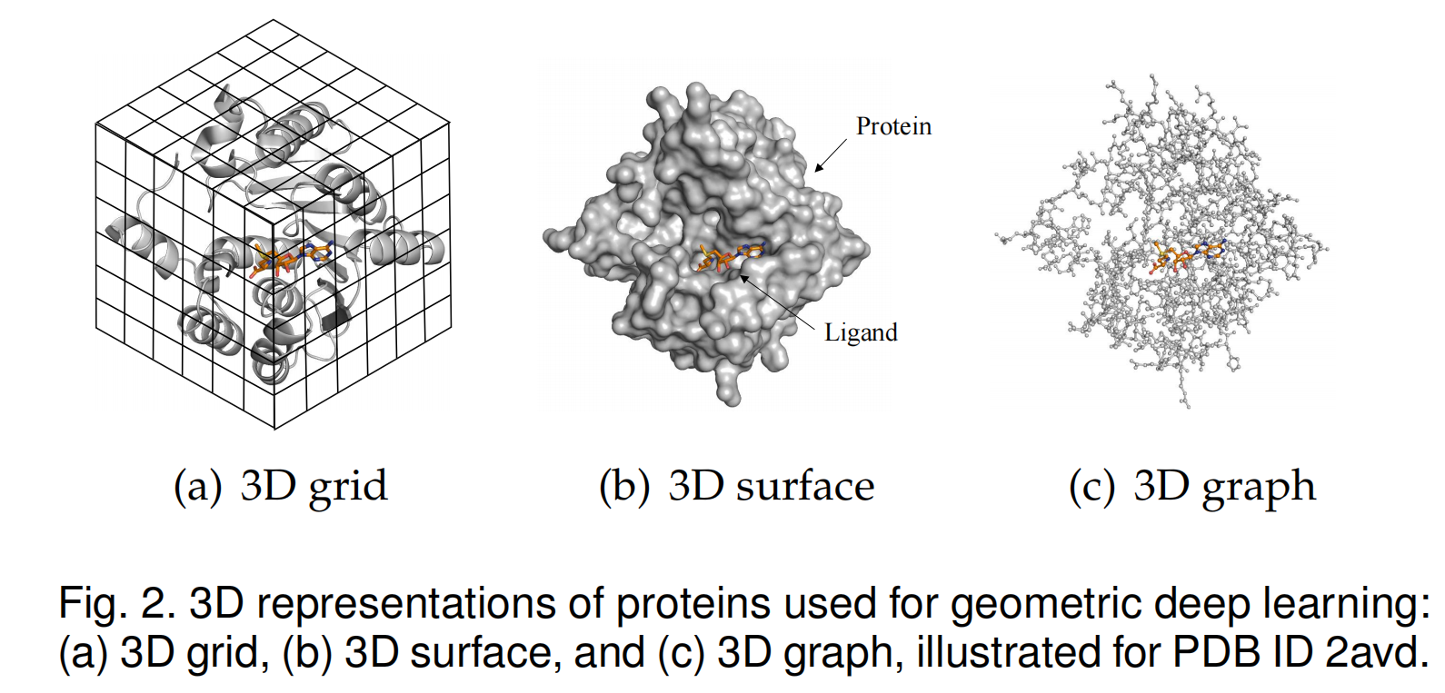 SBDD Protein and Ligand Representation（SBDD蛋白质和配体的表示）_geometric deep learning for structure ...