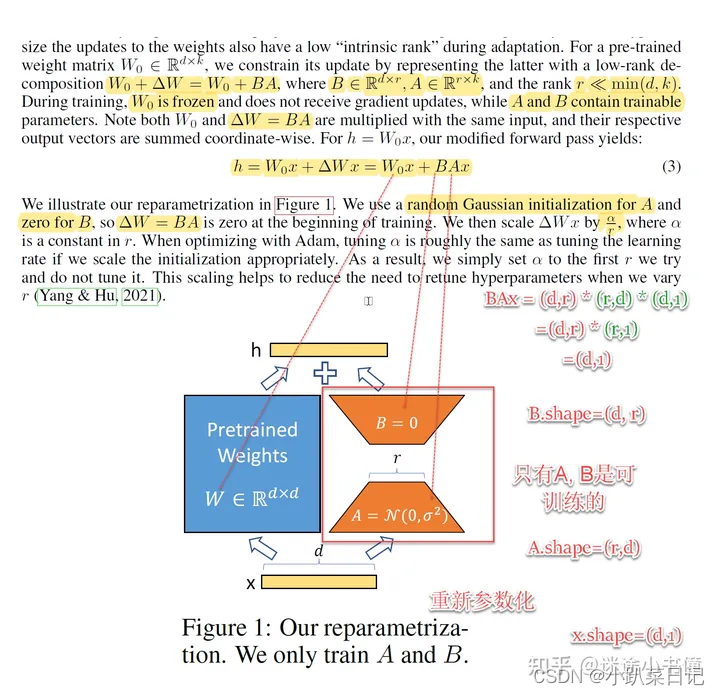 低秩适应LoRA和量化低秩适应QLoRA_qlora大模型训练方式-CSDN博客