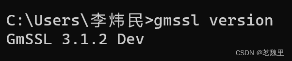 WIN下使用visual studio 2022安装GMSSL命令行工具_visual studio链接gmssl-CSDN博客
