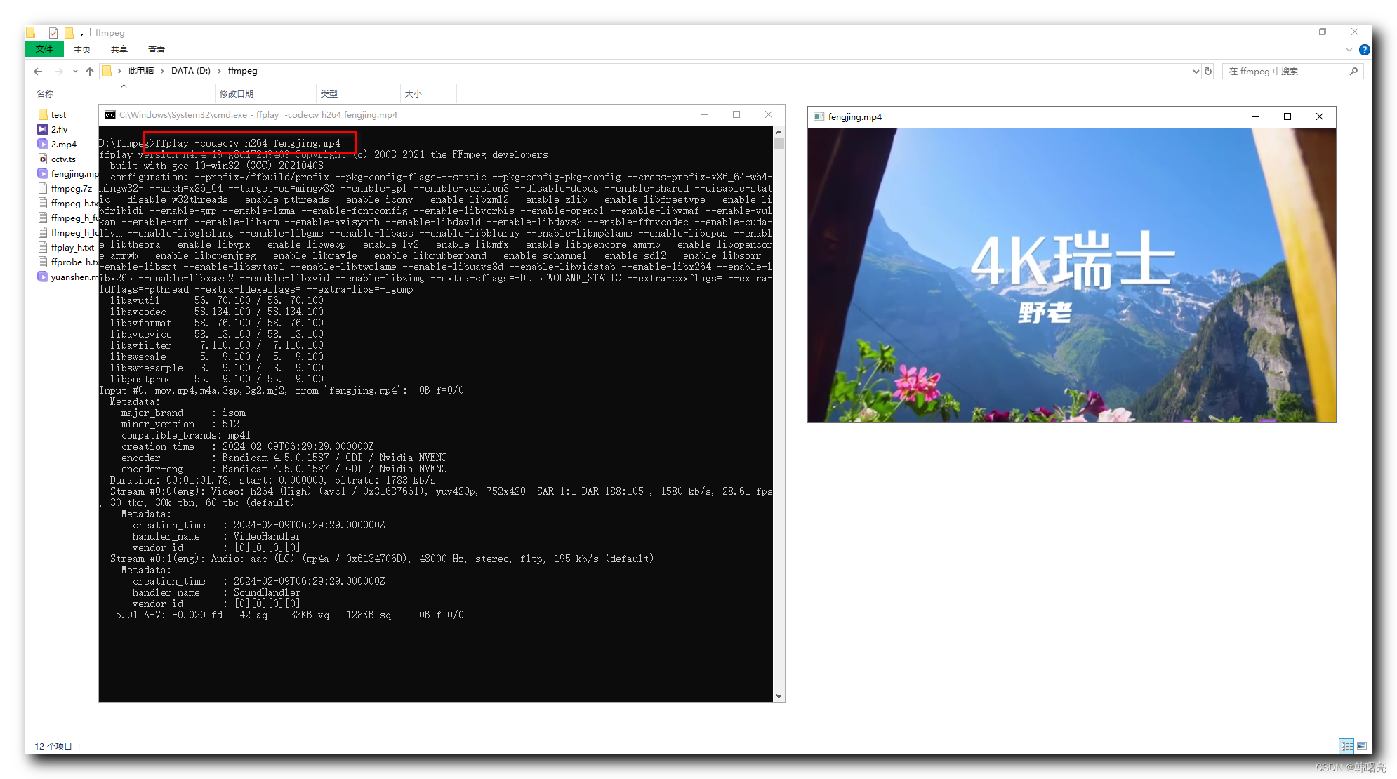 【FFmpeg】ffplay 命令行参数 ⑥ ( 设置播放完毕自动退出 -autoexit 参数 | 设置多媒体解码器 -codec:media_specifier 参数 )_自动停止播放代码 ...