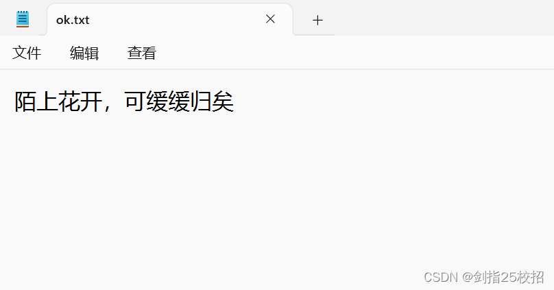 Java 解决字符流读取文本文件中文乱码情况javaansi格式流转gbk Csdn博客