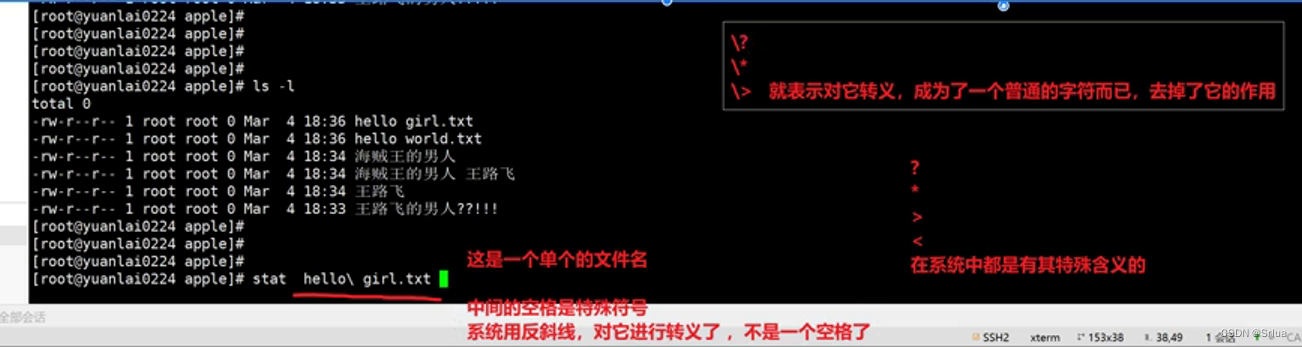 Linux命令行全景指南:从入门到实践,掌握命令行的力量linux命令篡改和命令劫持如何恢复 Csdn博客