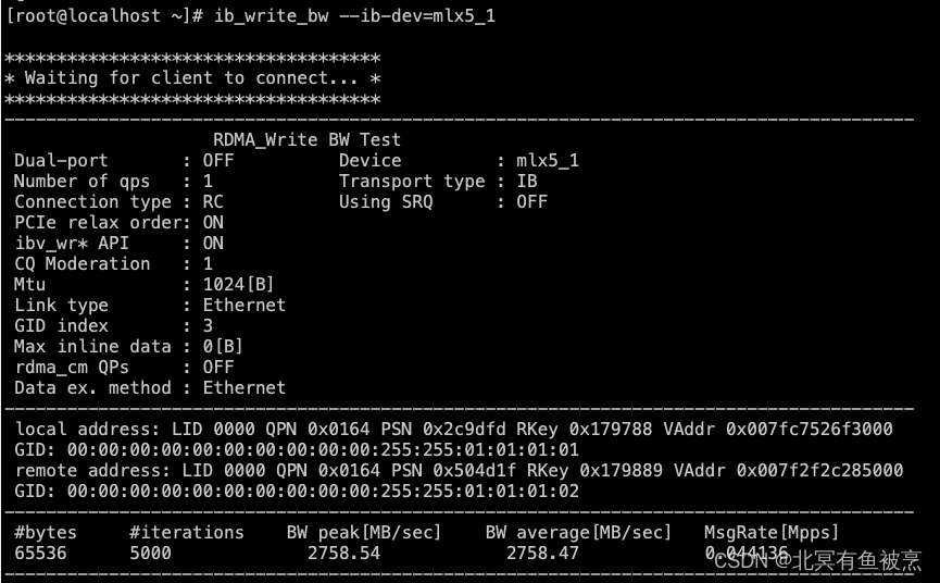【RDMA命令之】ib_write_bw如何启动高性能网卡带宽性能测试(s: ib_write_bw, c: ib_write_bw 1.1.1.1)_ib网络带宽测试-CSDN博客